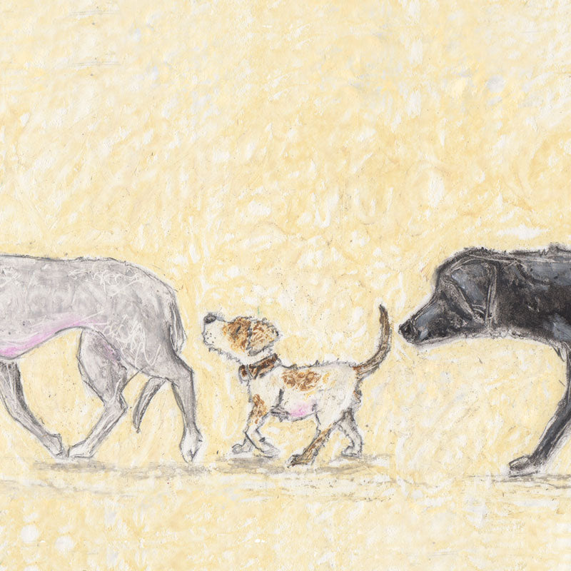 Real Friends Sniff Bums | Limited Edition Canvas – Pomfret Gallery